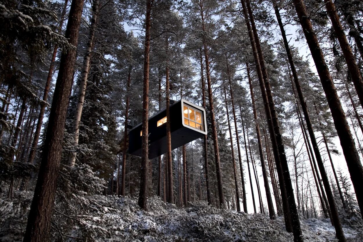 Treehotel Sweden: Inside The World's Most Unique Treehouse - Travel The ...